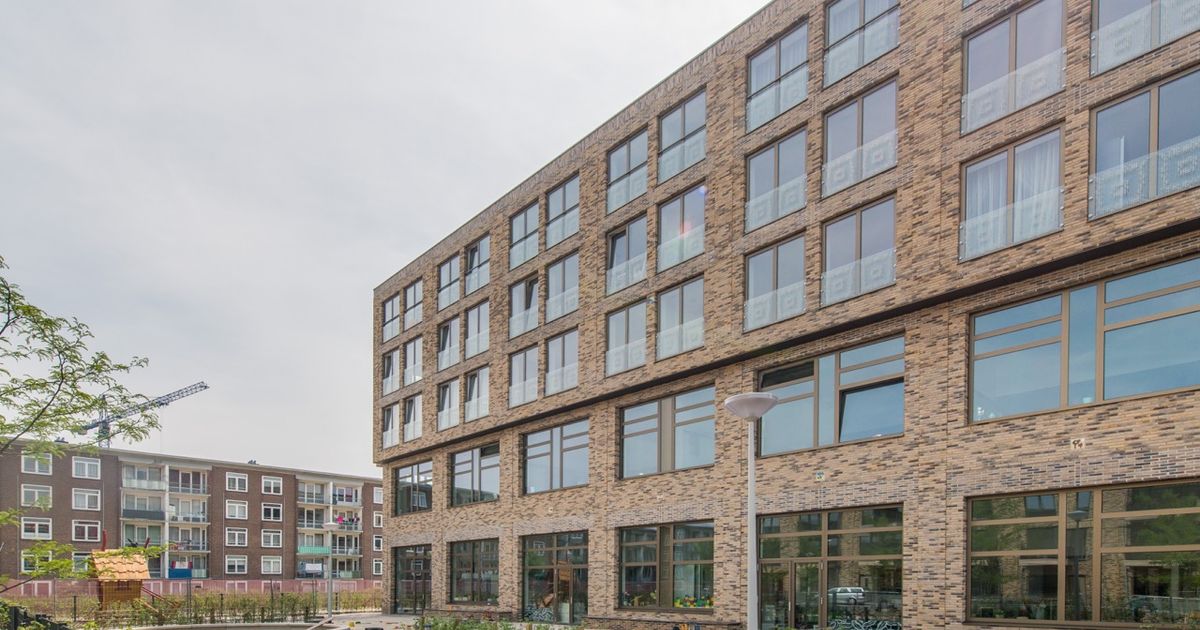 Bos en Lommer, Schoolwijzer Amsterdam