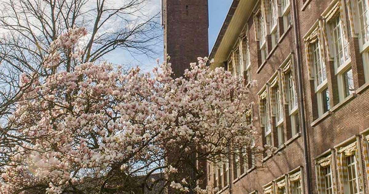 Vossius Gymnasium, Schoolwijzer Amsterdam